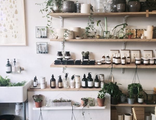 15 Eco Brands that Plant Trees When You Buy a Product - Mindful of the Home