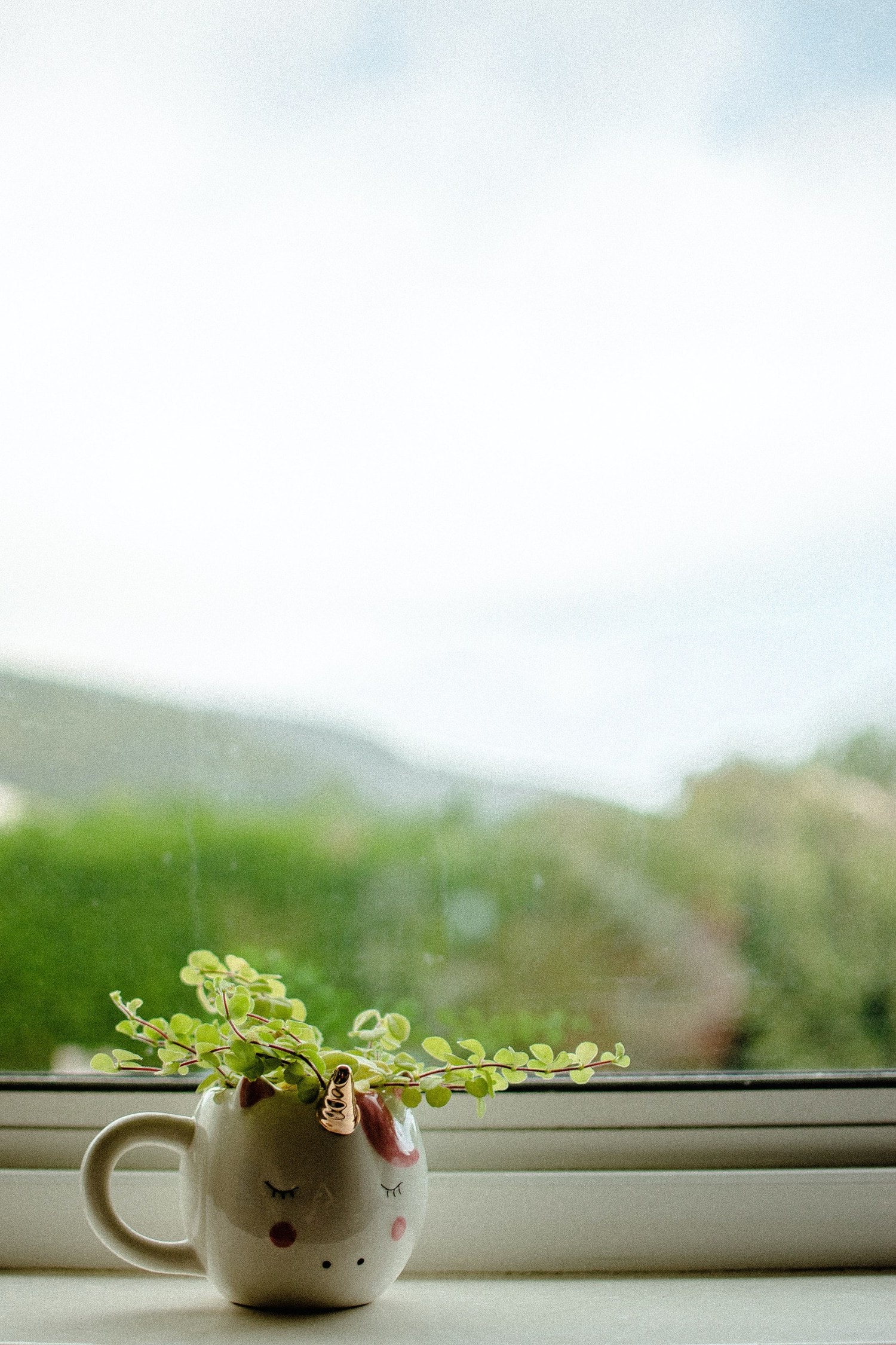 20+ DIY Repurposed Planter Ideas - Mindful of the Home