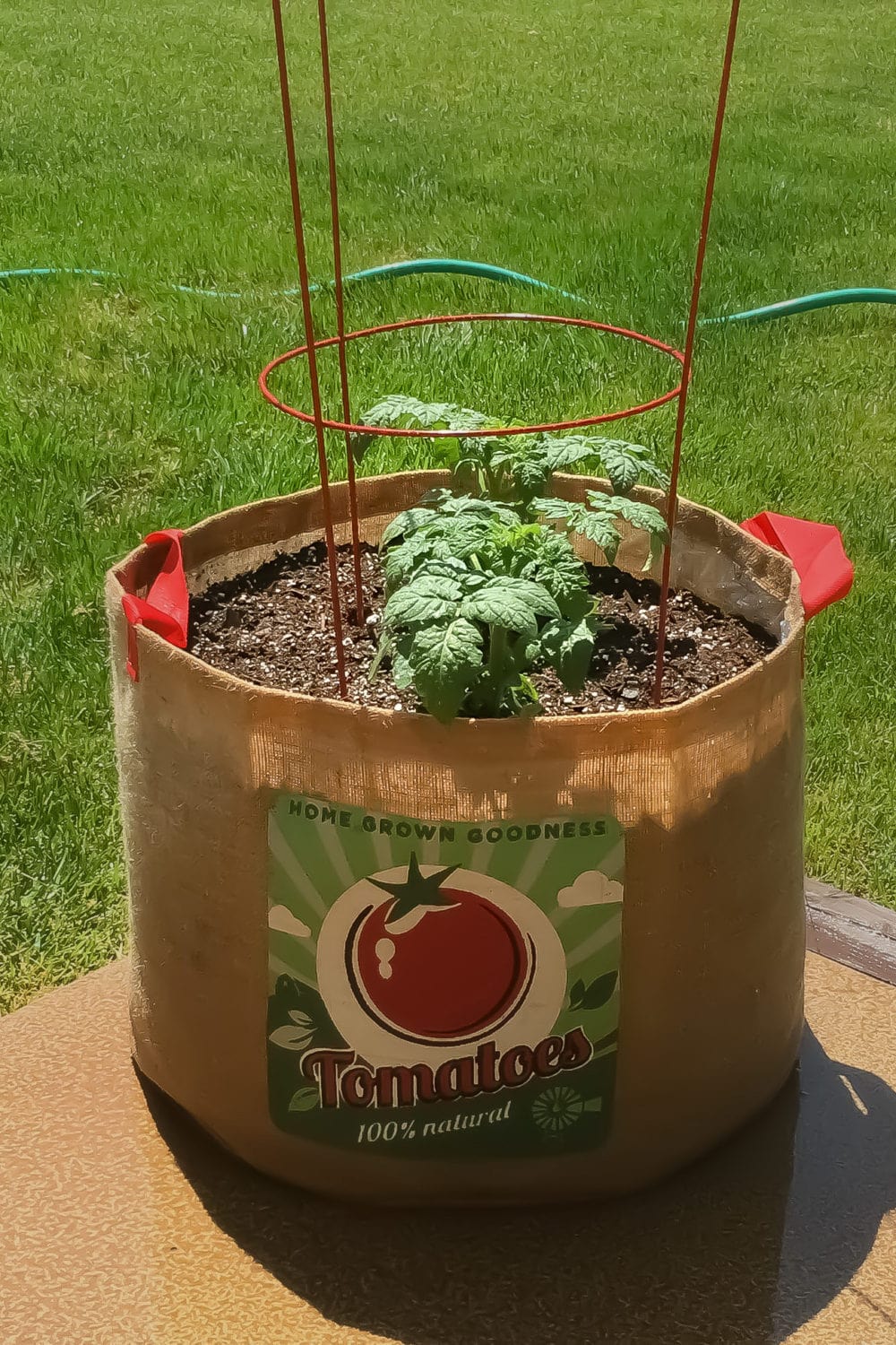 22 Easy DIY Repurposed Planter Pot Ideas - Mindful of the Home