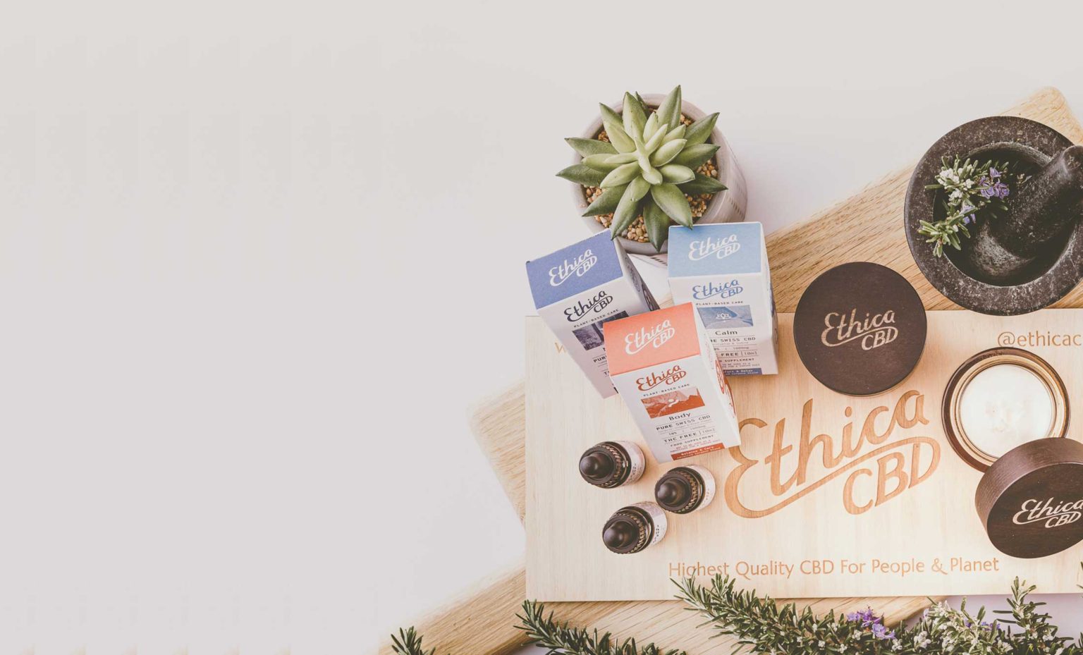 15 Eco Brands that Plant Trees When You Buy a Product - Mindful of the Home