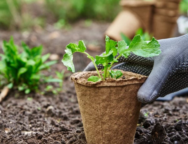 22 Ways To Save Money When Going Green - Mindful of the Home