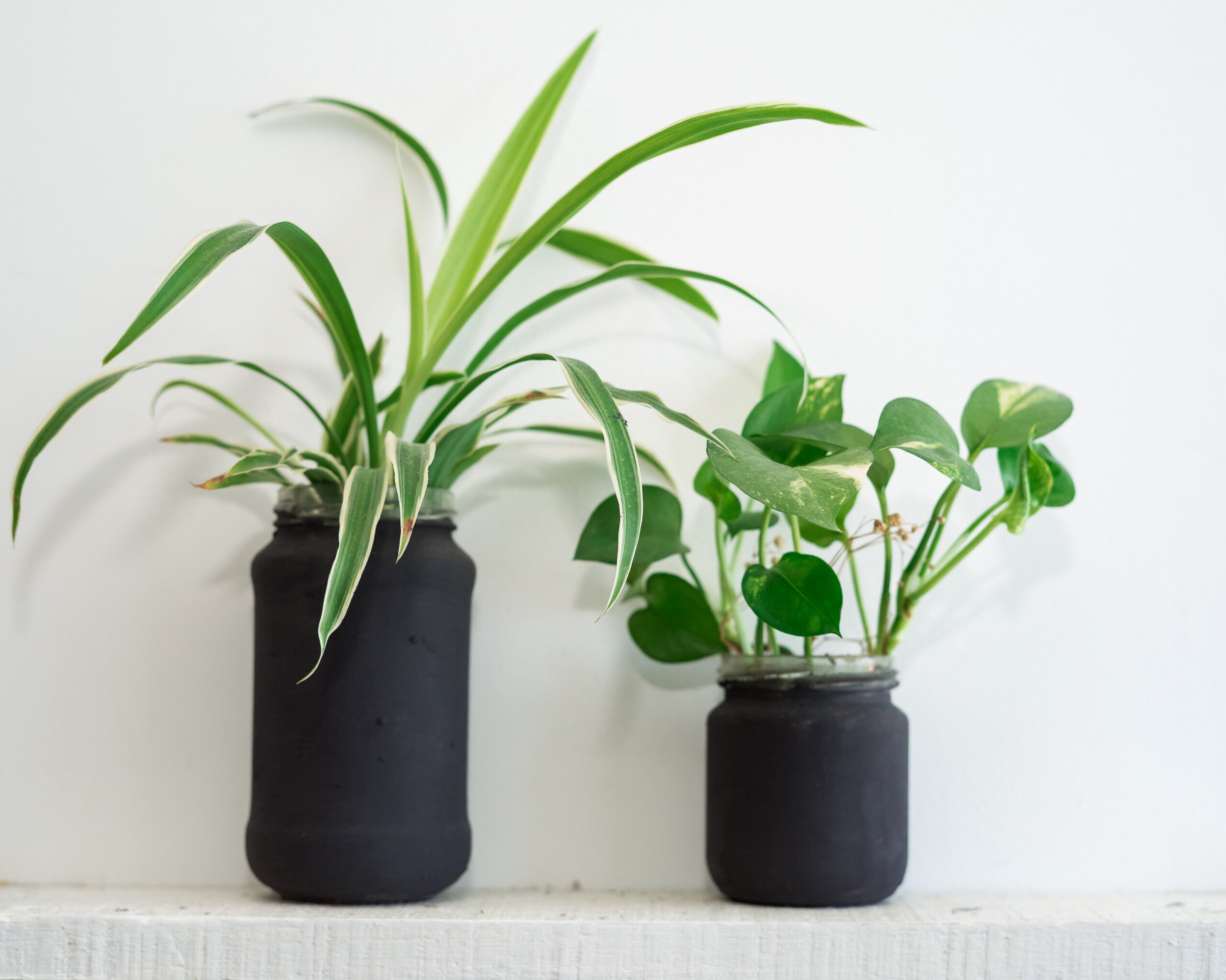 16 Practical Ways to Reuse Glass Jars - Mindful of the Home