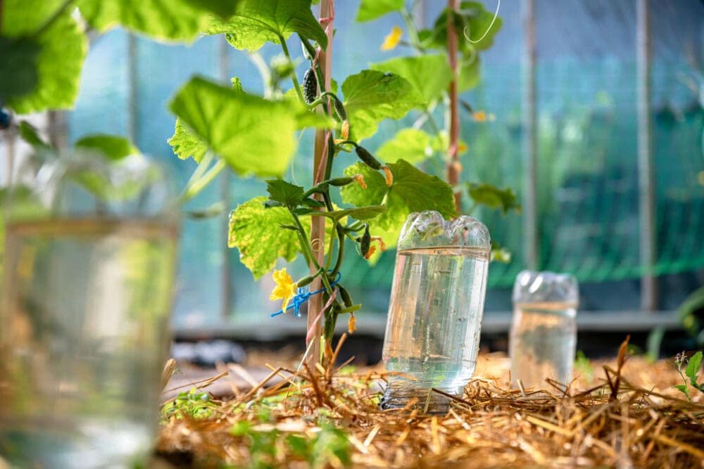 30 Practical Ways to Reuse Plastic Bottles - Mindful of the Home