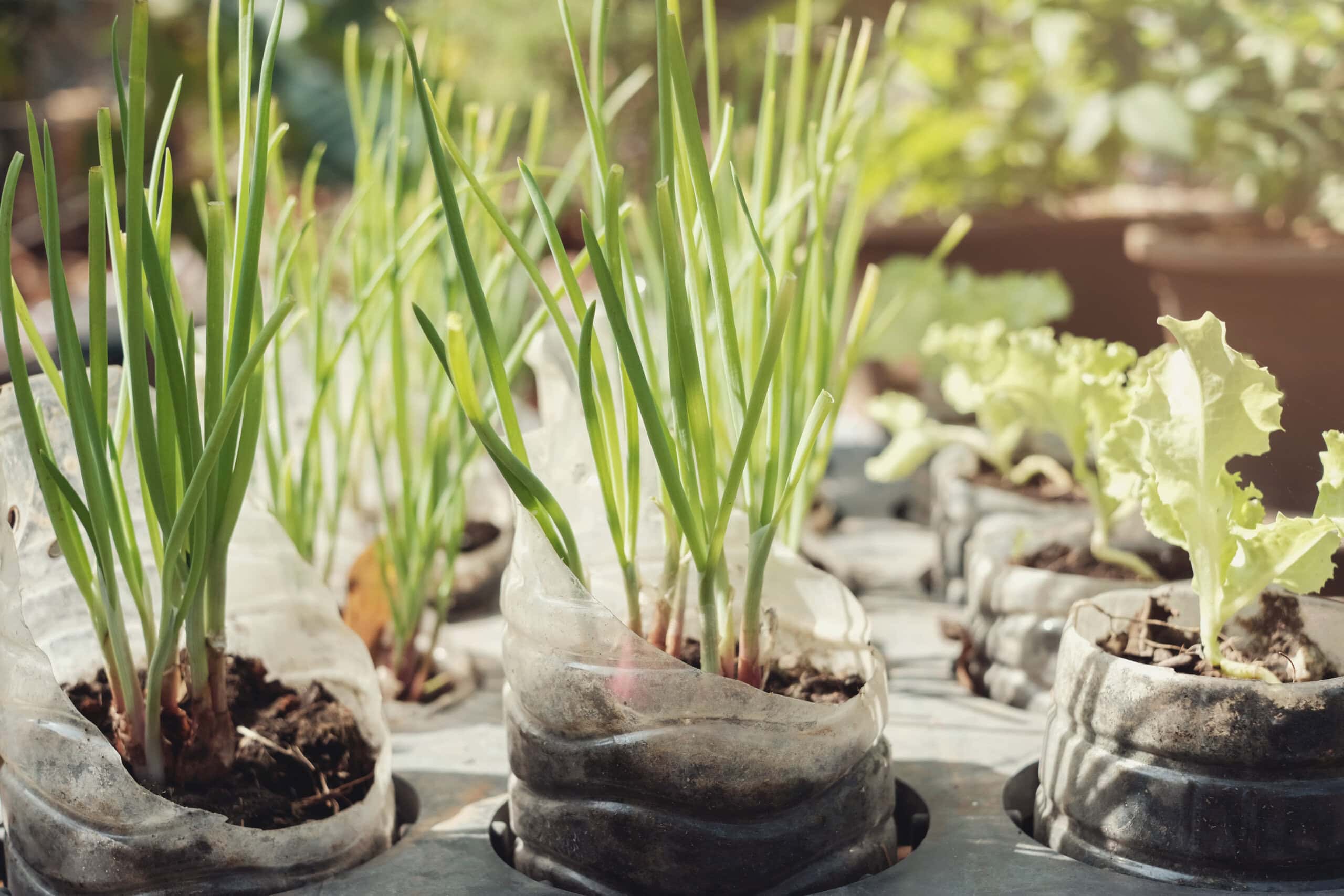 30 Practical Ways to Reuse Plastic Bottles - Mindful of the Home