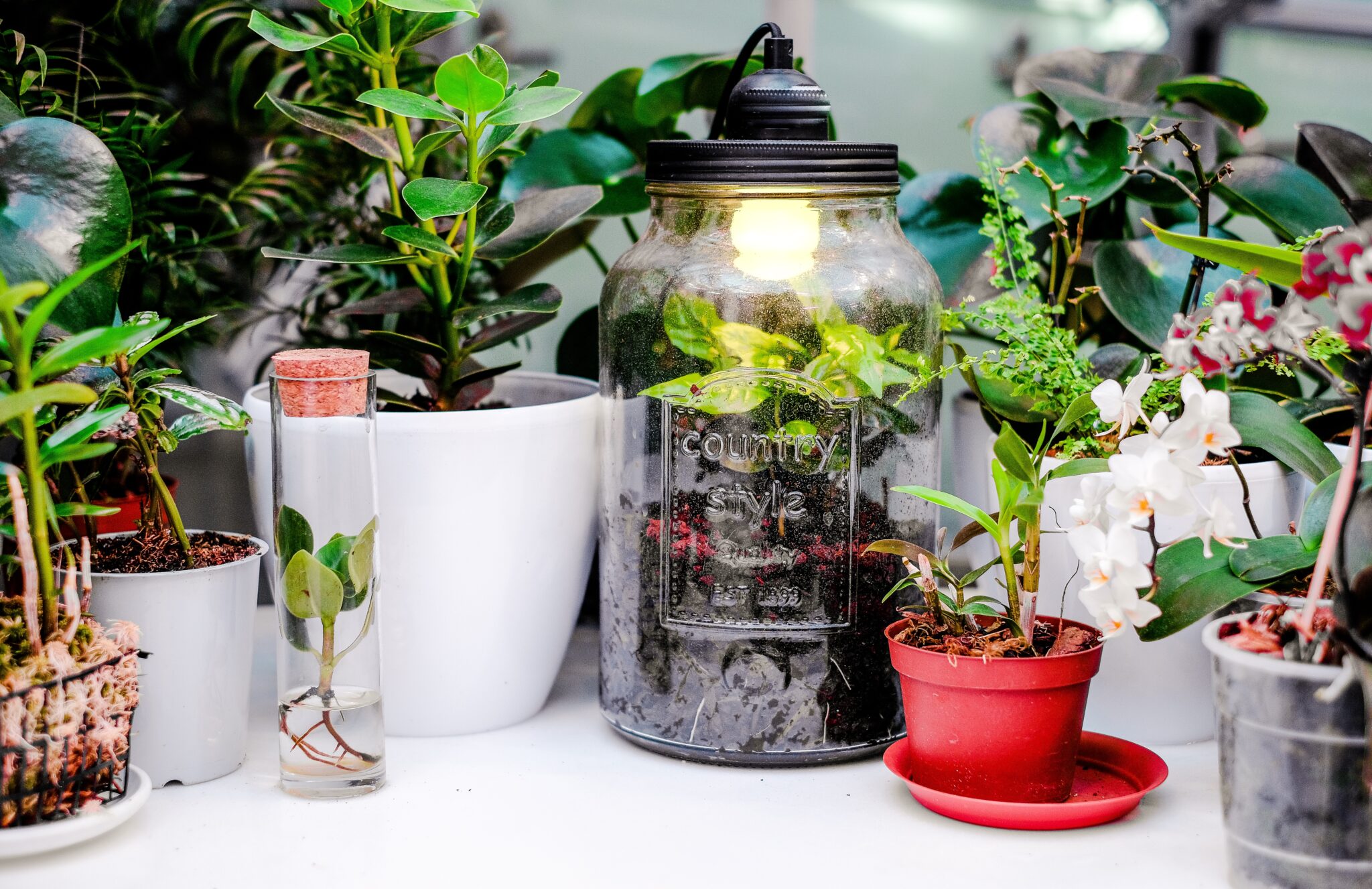 16 Practical Ways to Reuse Glass Jars - Mindful of the Home