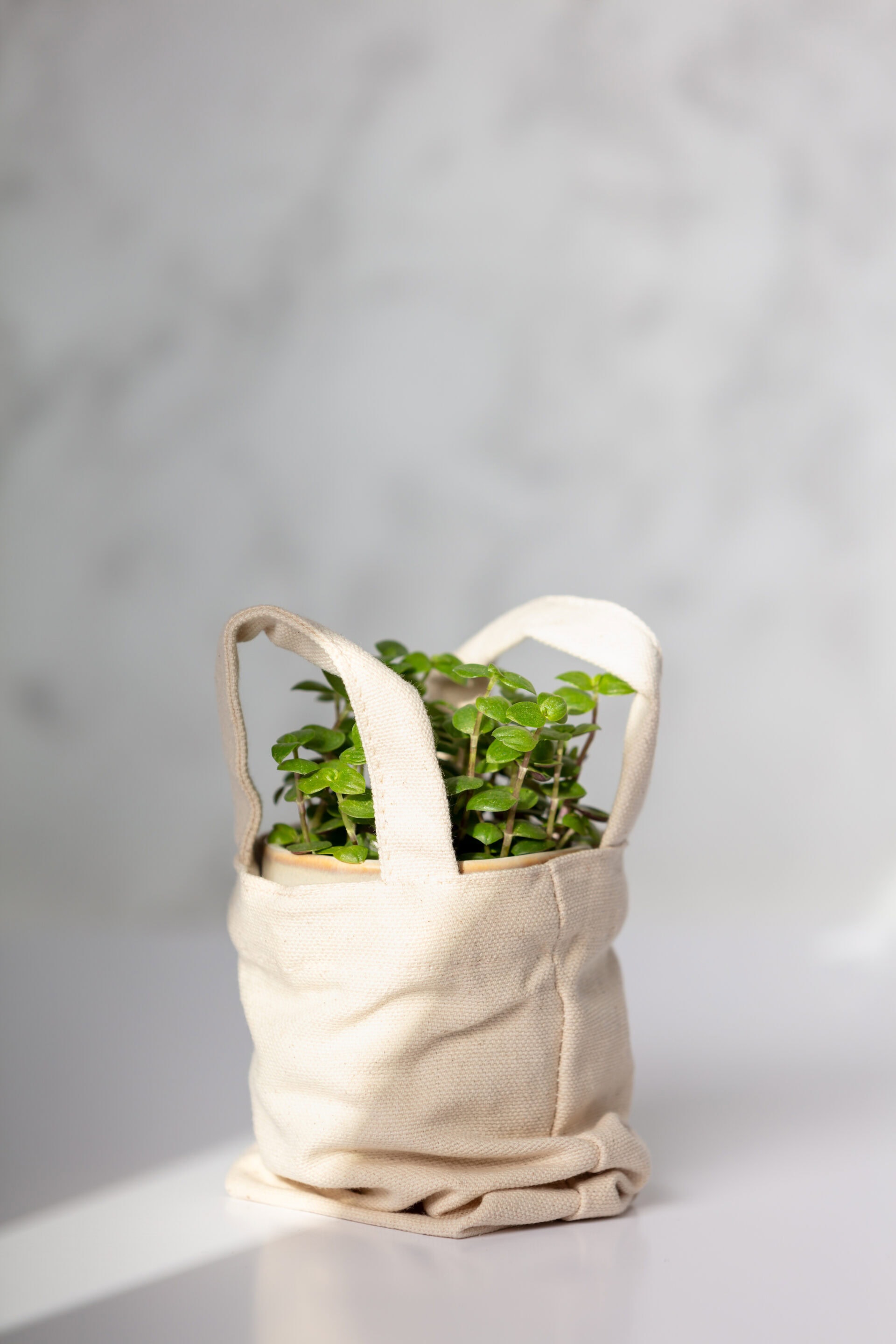 10 Easy Ways to Hide Ugly Plant Pots - Mindful of the Home